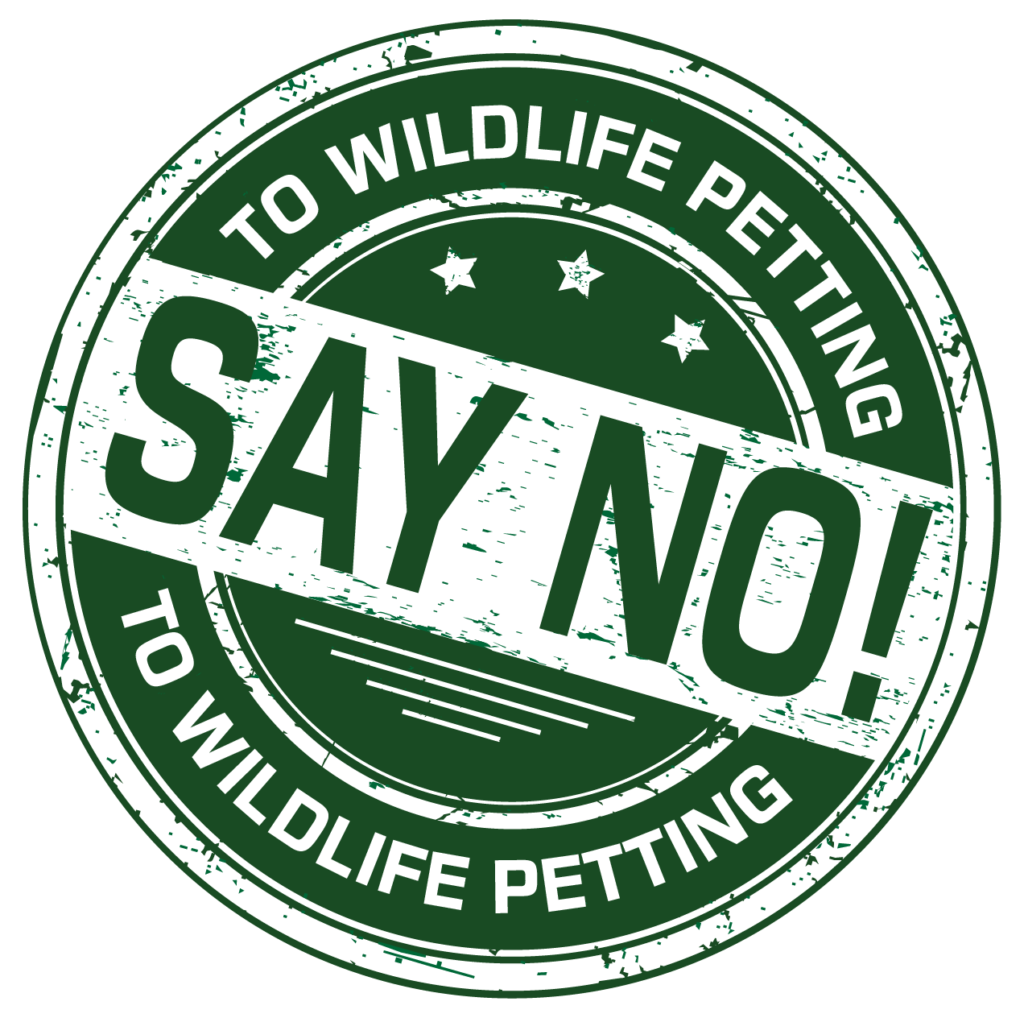 Home - Monkeyland™ | Monkeyland Primate Sanctuary