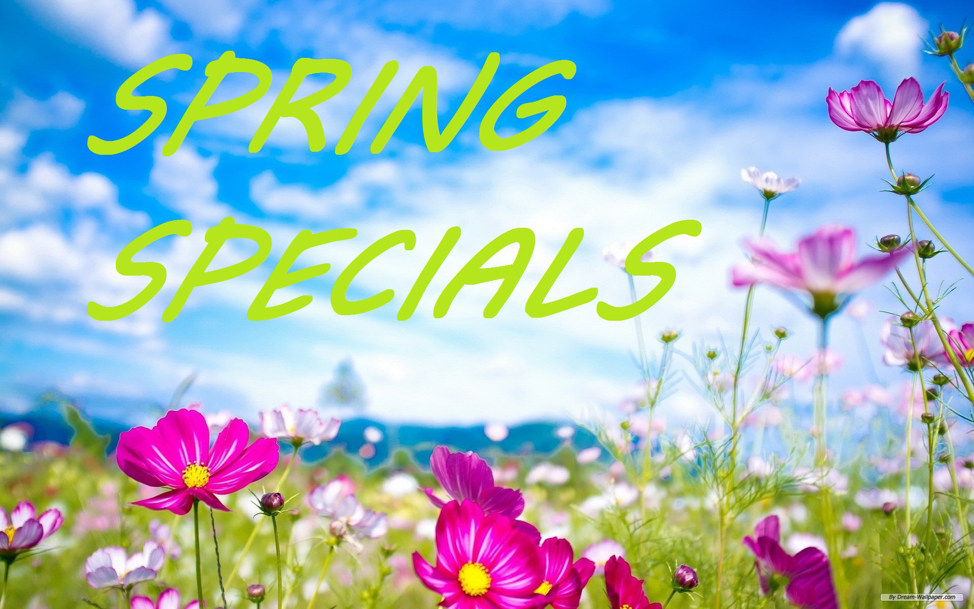 Spring Specials - Monkeyland™ | Monkeyland Primate Sanctuary